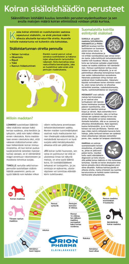 Pois suolinkaiset ja heisimadot! – Kätevä grafiikka kertoo madotuksen ...